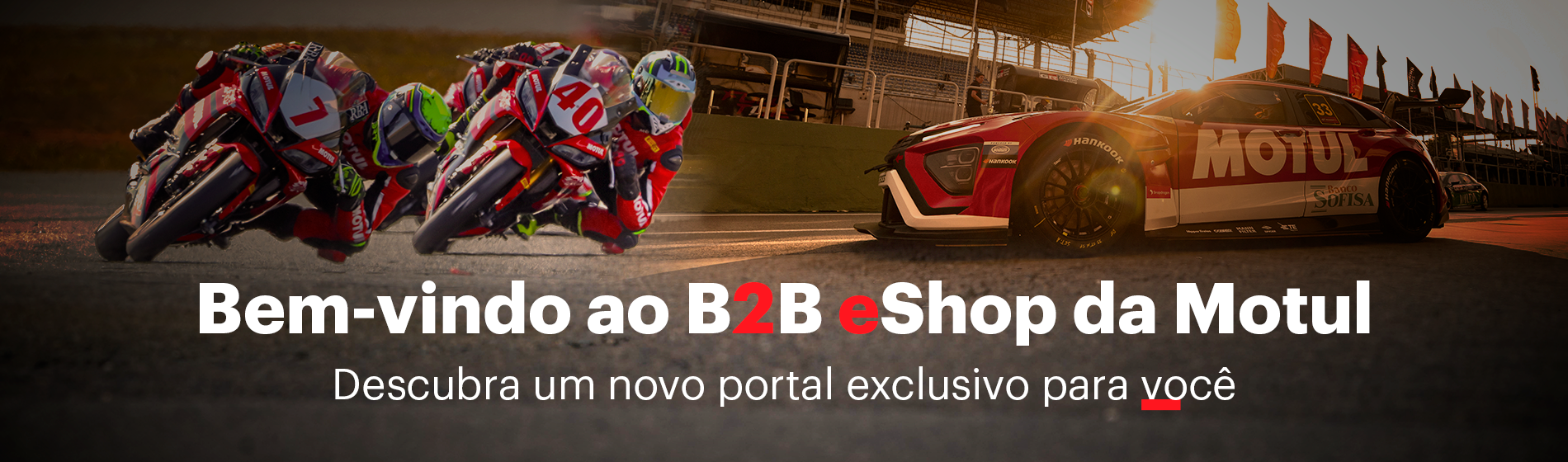 BEM-VINDO AO B2B DA MOTUL